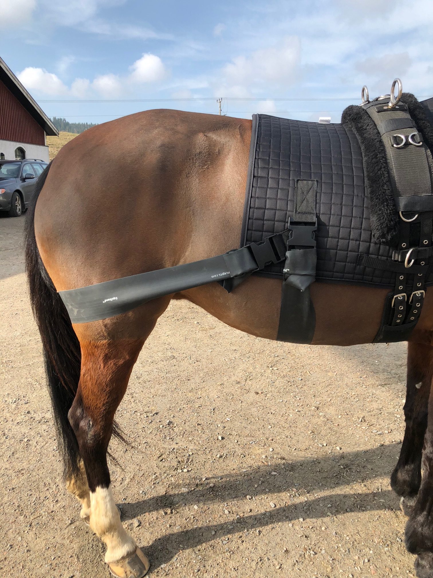 Equiband & Equibodybalance för bakknän - stabilisering/rehab/power ...