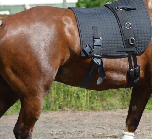 Equiband Pro - Svensk Hästrehab